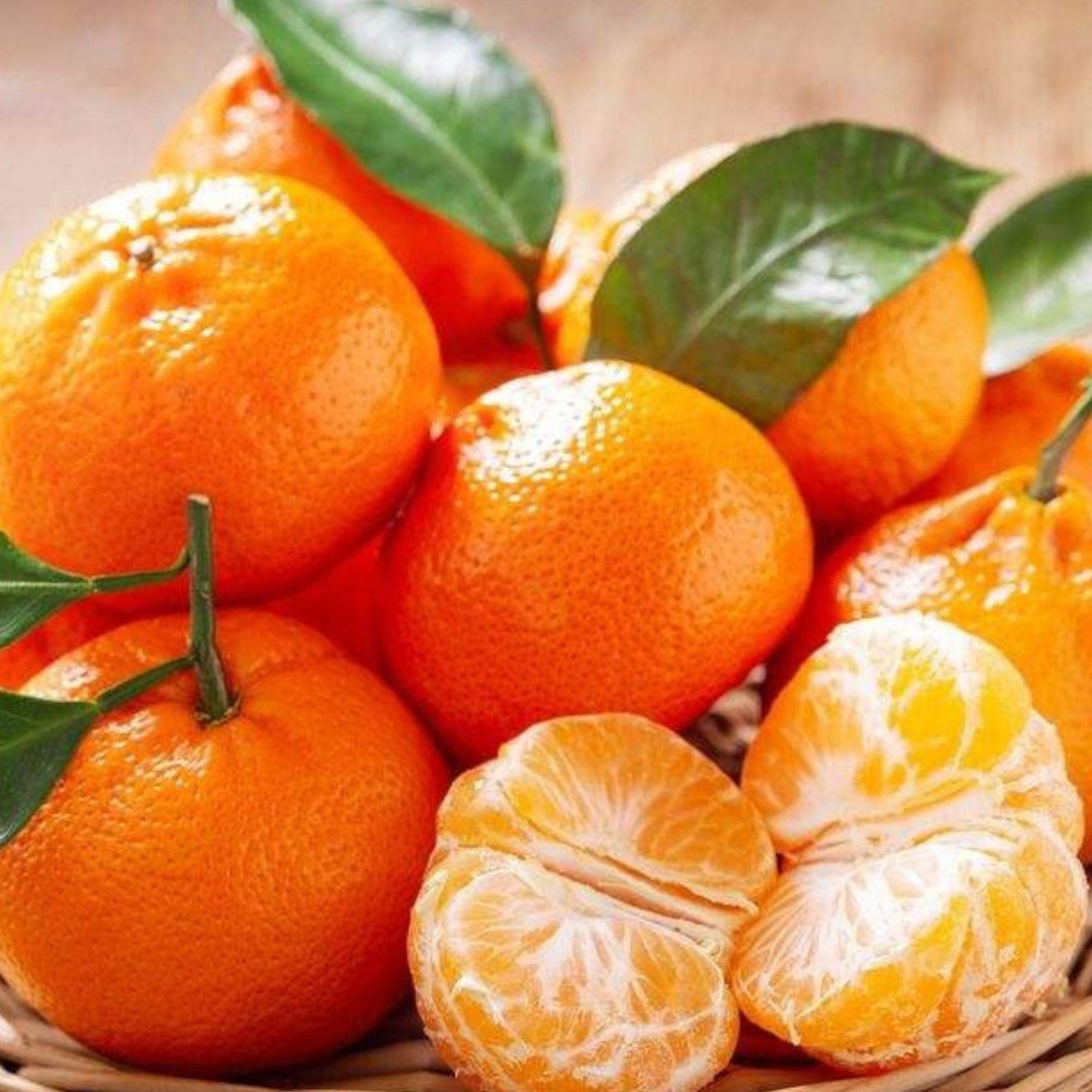 Mandarin Orange Seeds, Sweet Citrus Fruit Tree, Tropical Garden, Home ...