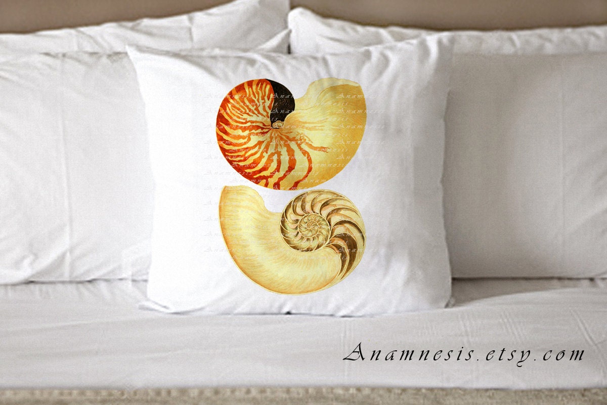 NAUTILUS SEA SHELLS Digital Image Download Printable Antique Ocean ...