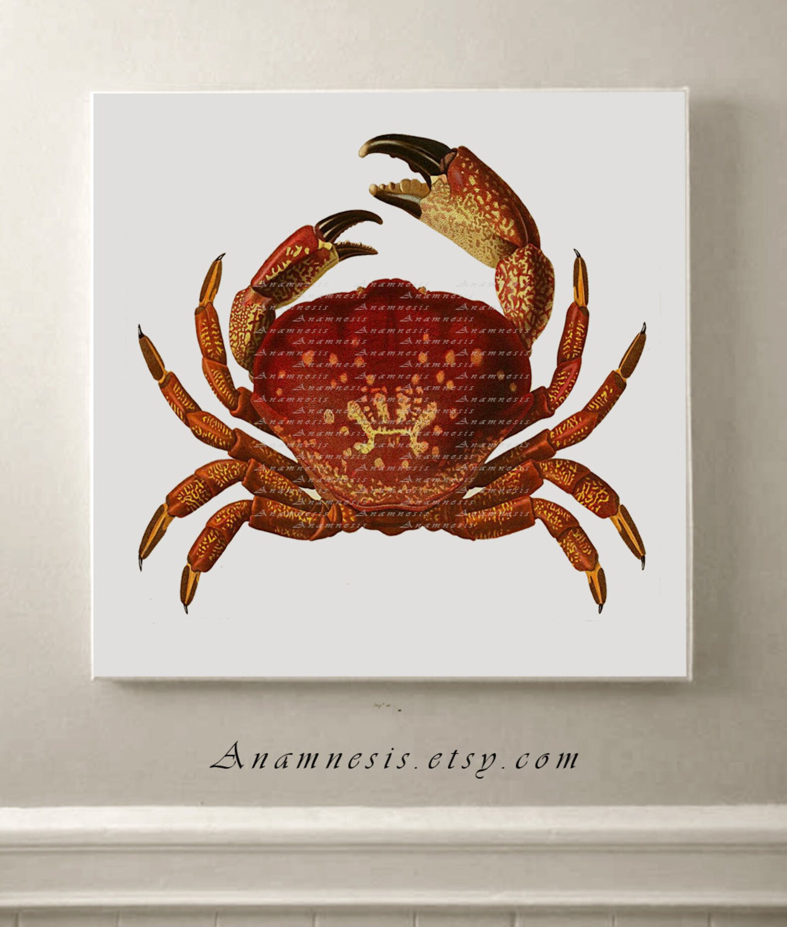 RED CRAB Art Print High Res Digital Image Printable Antique Sea Life ...