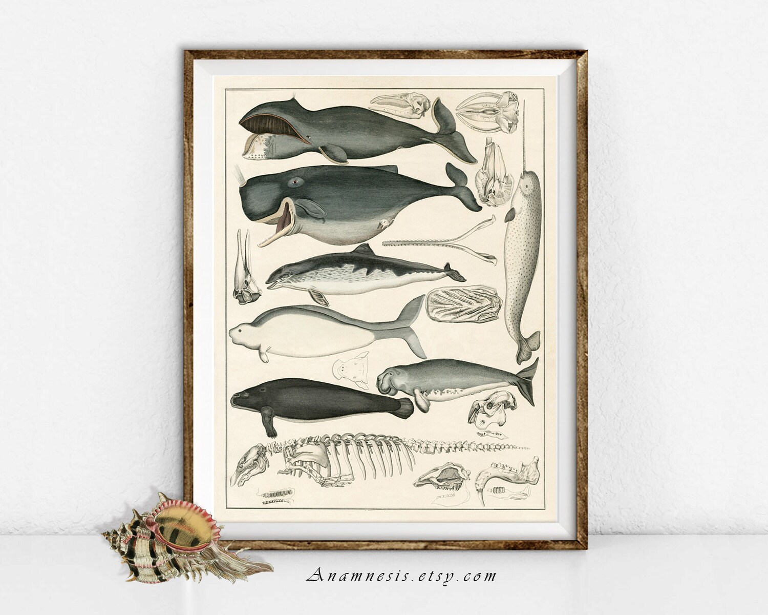 Whales Art Print - WHALE COLLAGE - Instant Download - Printable Antique ...