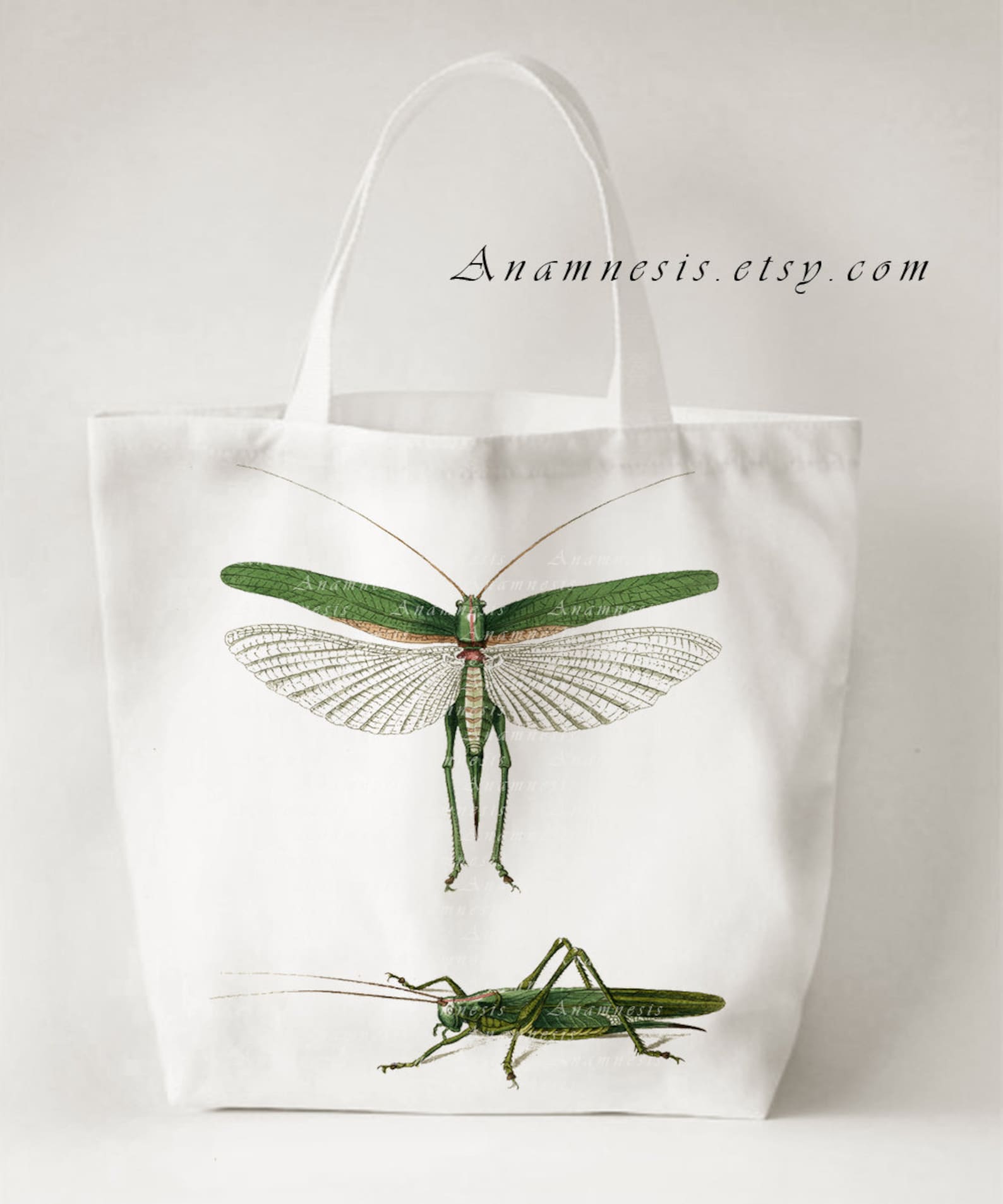 GREEN GRASSHOPPER COLLAGE - Digital Image Download - Printable 1800's ...
