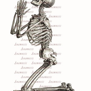 PRAYING HUMAN SKELETON - Digital Download - Printable Antique ...