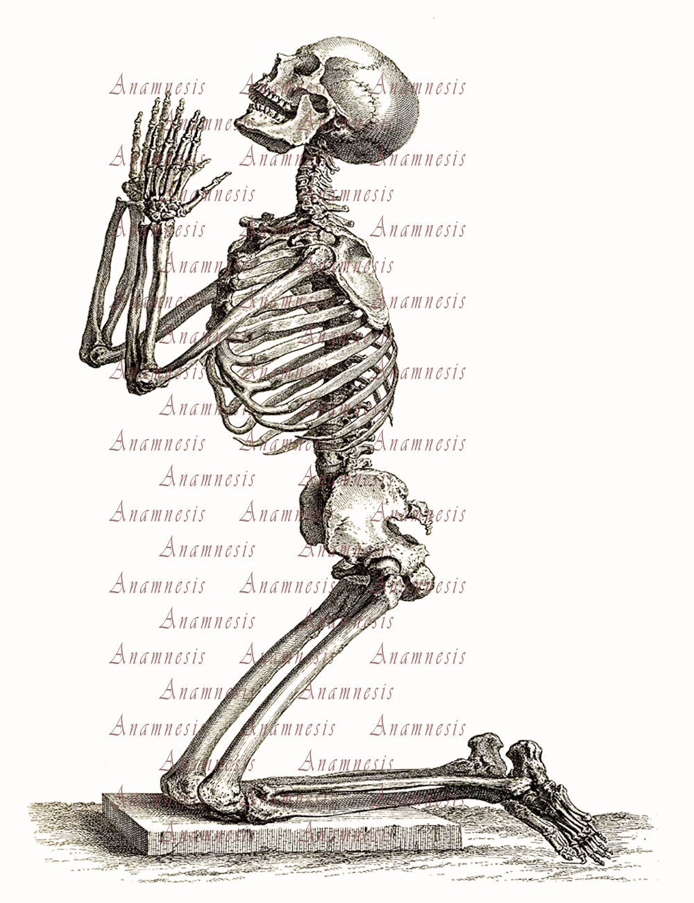 PRAYING HUMAN SKELETON Digital Download Printable Antique - Etsy
