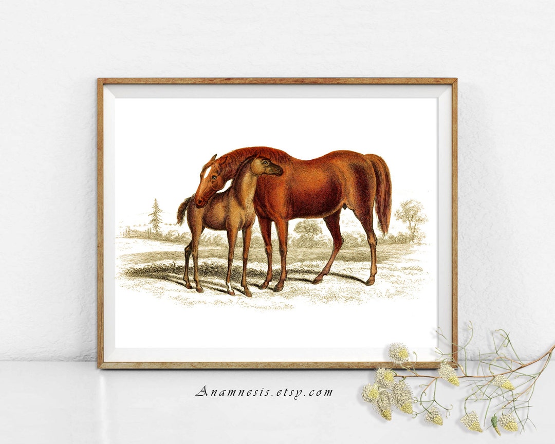 Horse Print MARE AND COLT Digital Download Printable Antique Horse ...