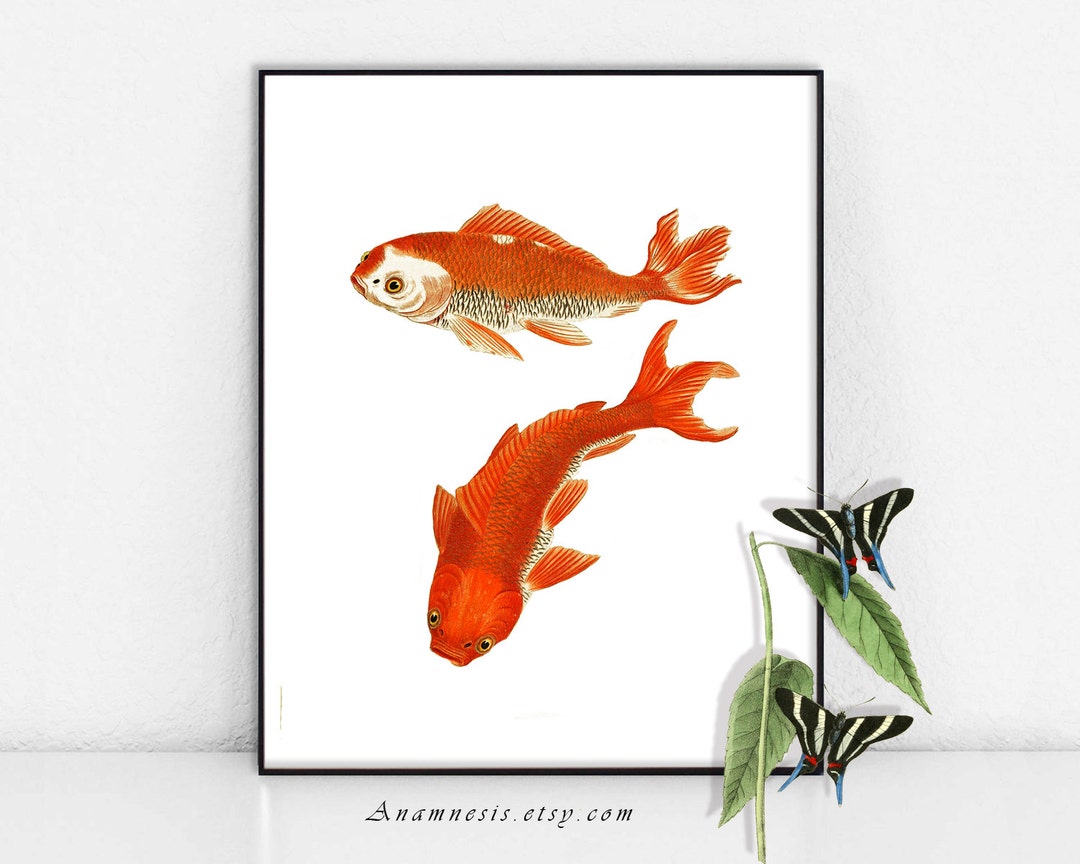 Goldfish Art Print TWO GOLDFISH on WHITE Printable Digital Download ...