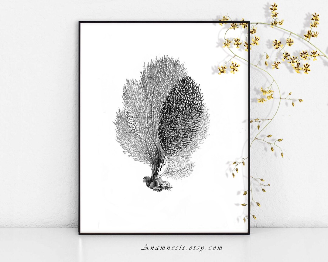 SEA CORAL PRINT in Black Printable Instant Download Image a Lovely ...