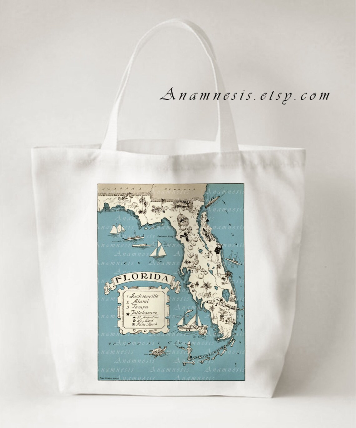 VINTAGE FLORIDA MAP High Res Digital Image Large Printable Picture Map ...