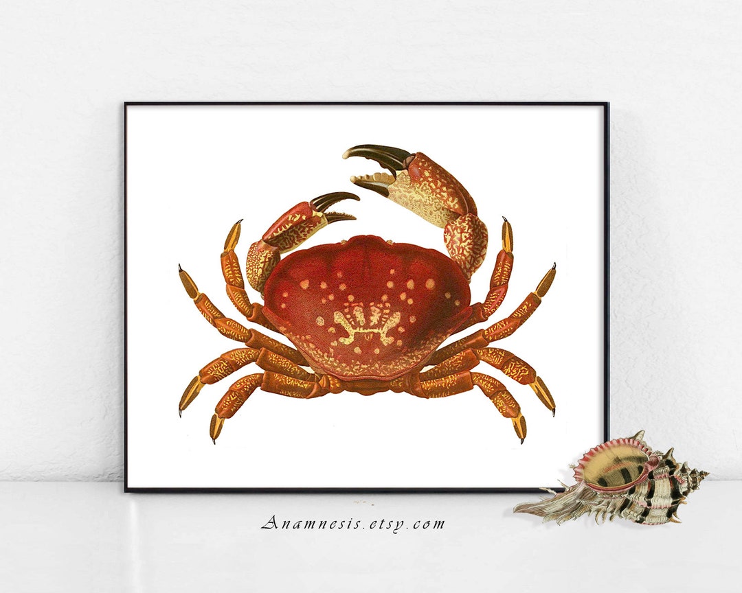 RED CRAB Art Print - High Res Digital Image - Printable Antique Sea ...