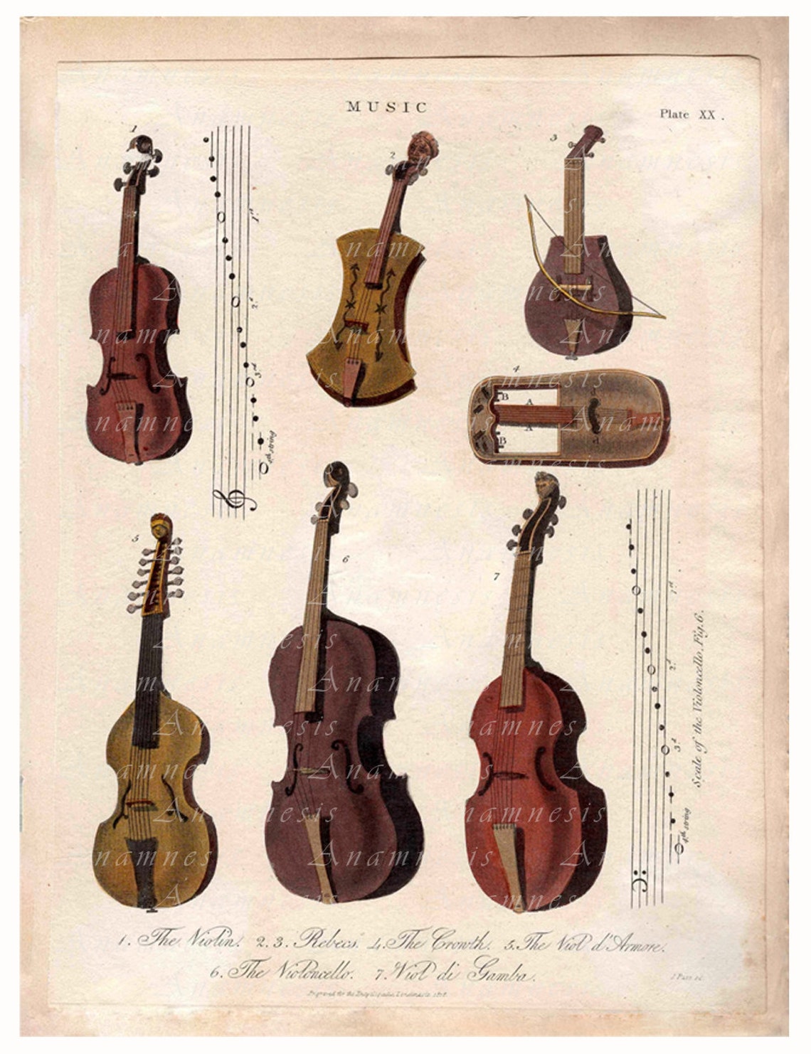 STRINGED MUSICAL INSTRUMENT Collage Digital Download Printable 1800's ...