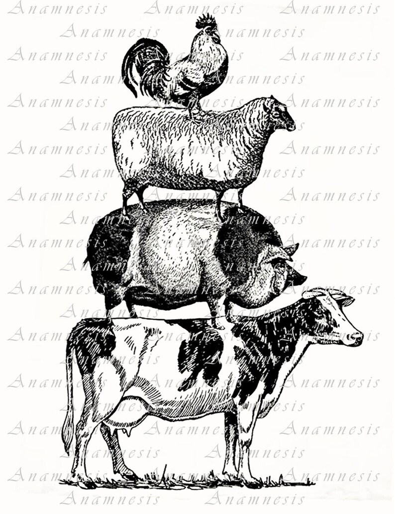 FARM ANIMAL PYRAMID Digital Download Printable Graphic Vintage Image by ...