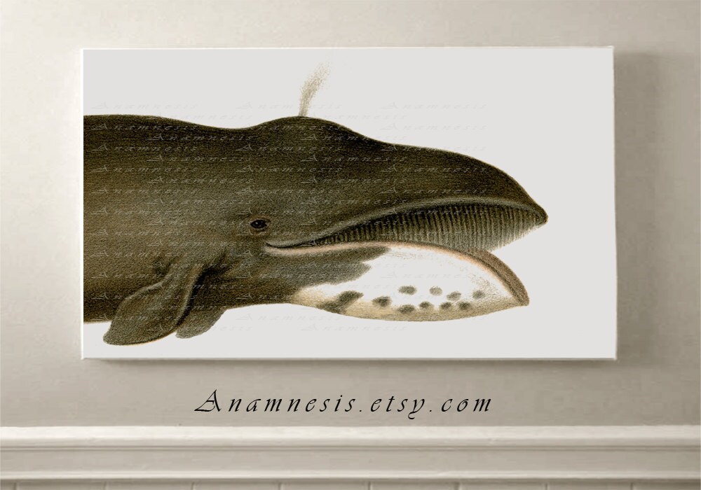 Whale Art Print SMILEY WHALE Instant Download Digital - Etsy