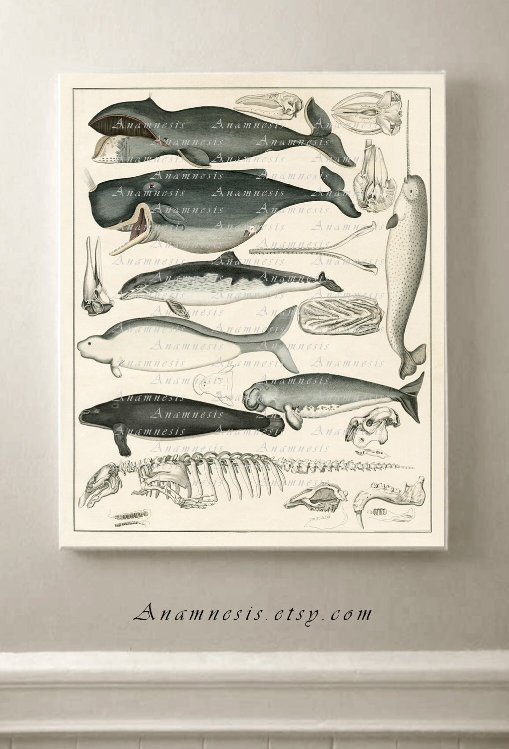 Whales Art Print - WHALE COLLAGE - Instant Download - Printable Antique ...