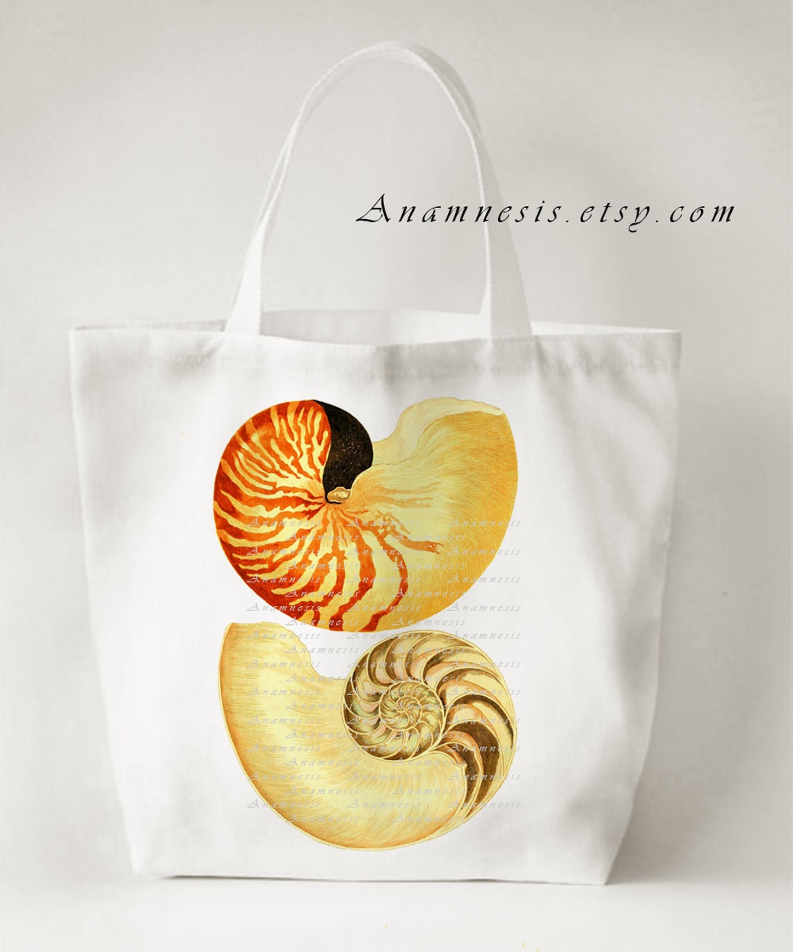 NAUTILUS SEA SHELLS Digital Image Download Printable Antique Ocean ...