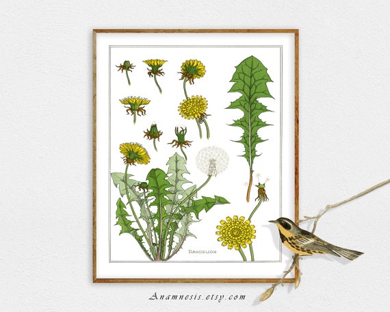 DANDELION COLLAGE SHEET Print Digital Image Download | Etsy