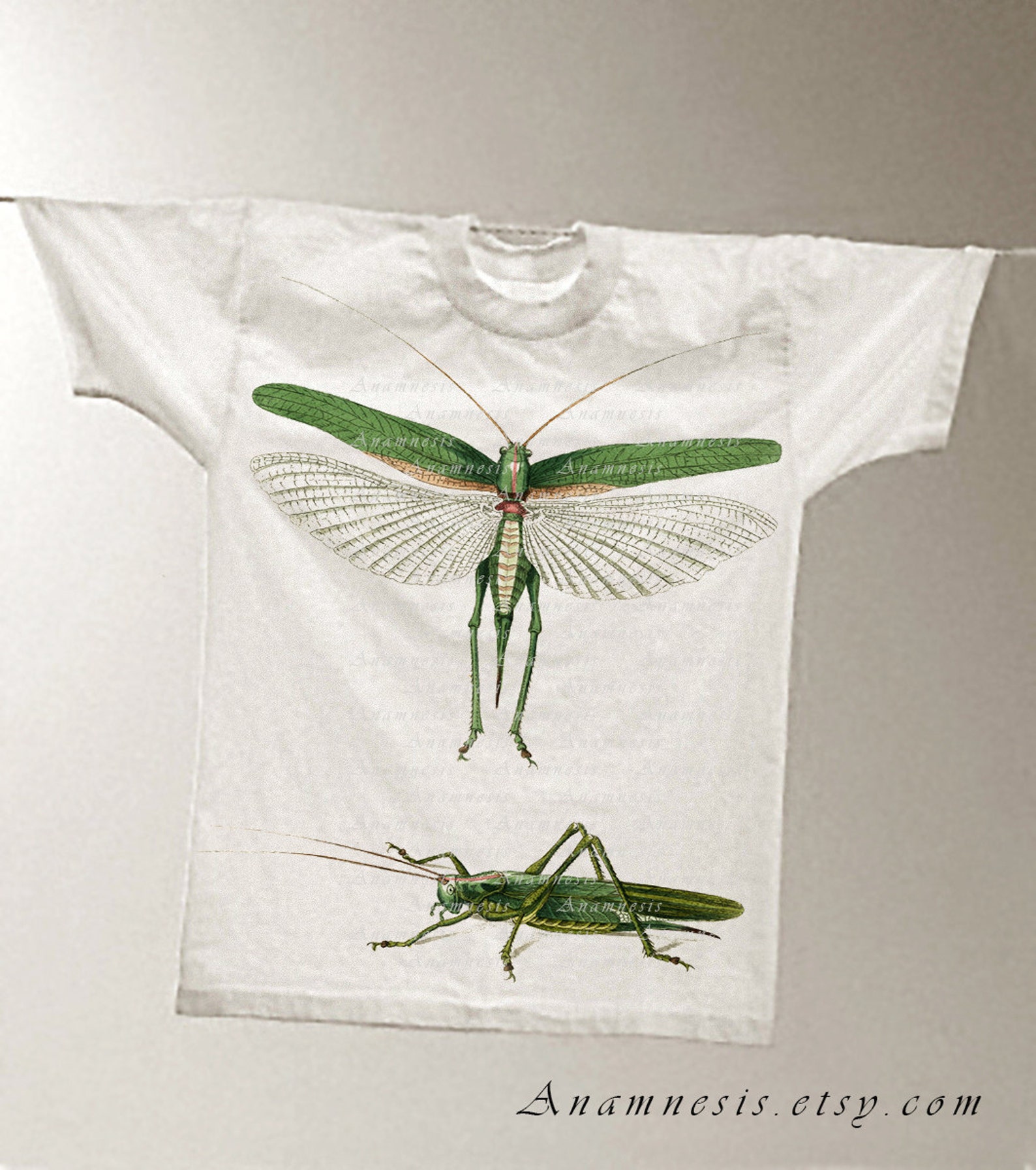 GREEN GRASSHOPPER COLLAGE - Digital Image Download - Printable 1800's ...