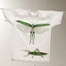 GREEN GRASSHOPPER COLLAGE - Digital Image Download - Printable 1800's ...