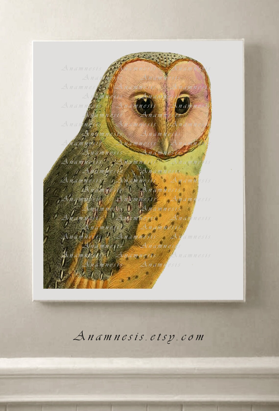 Owl Art Print OWL 03 Instant Digital Download Printable Antique Bird ...