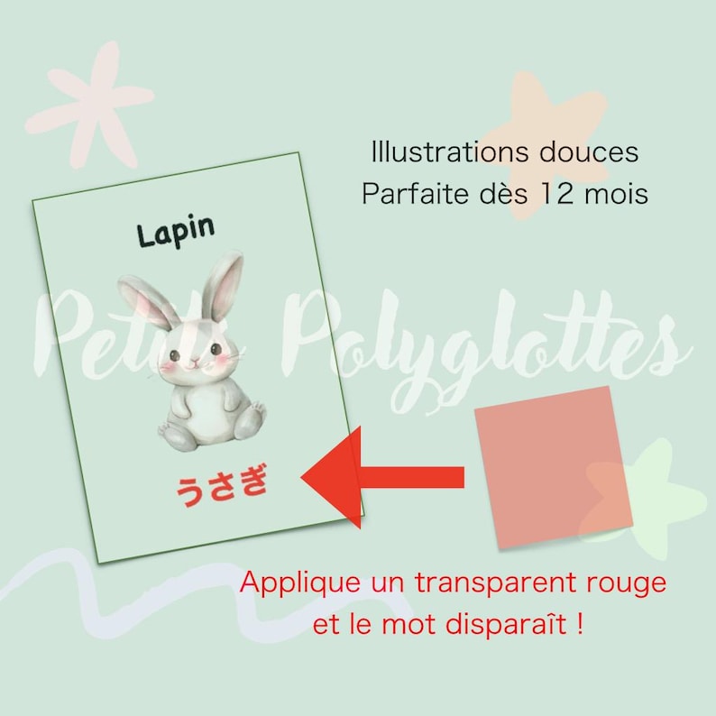French and Japanese Animal Flashcards | 16 Printable Cards | Bilingual ...