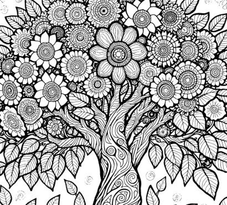 Pushpa Vatika Madhubani Art Coloring Pages #F12 - Etsy