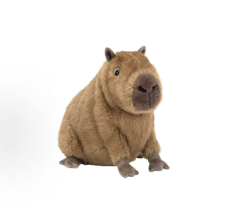 Jelly Cat Clyde Capybara Fur Toy, Beach Theme Decoration, Children's ...