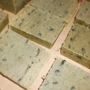 Pirate Soap Company's 'neptunes Garden' Hand Soap W/ Kelp and Nettle 4 ...