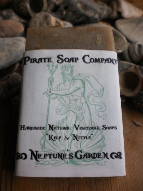Pirate Soap Company's 'neptunes Garden' Hand Soap W/ Kelp and Nettle 4 ...