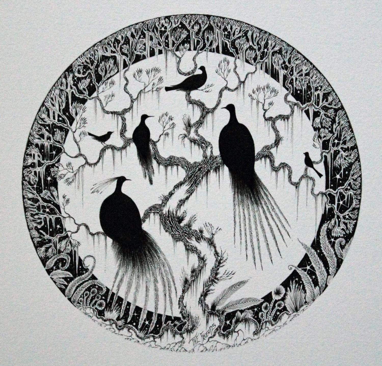 Bird Moon Illustration and Original Bird Drawing and Circle Shaped Ink ...