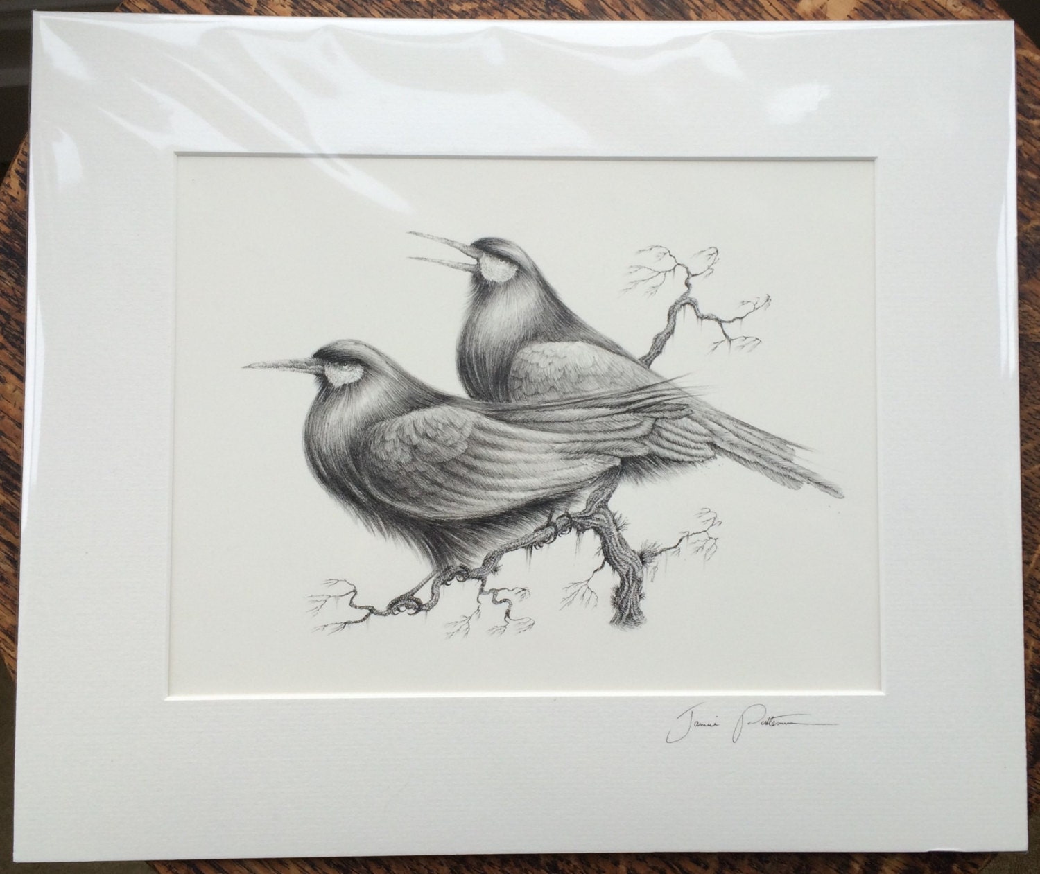 Crow Ink Llustration and Crow Signed Mounted Drawing and Crow Pair and ...