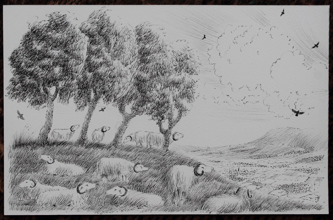 Sheep Pen Drawing and Original Sheep Picture and Sheep in Landscape and ...