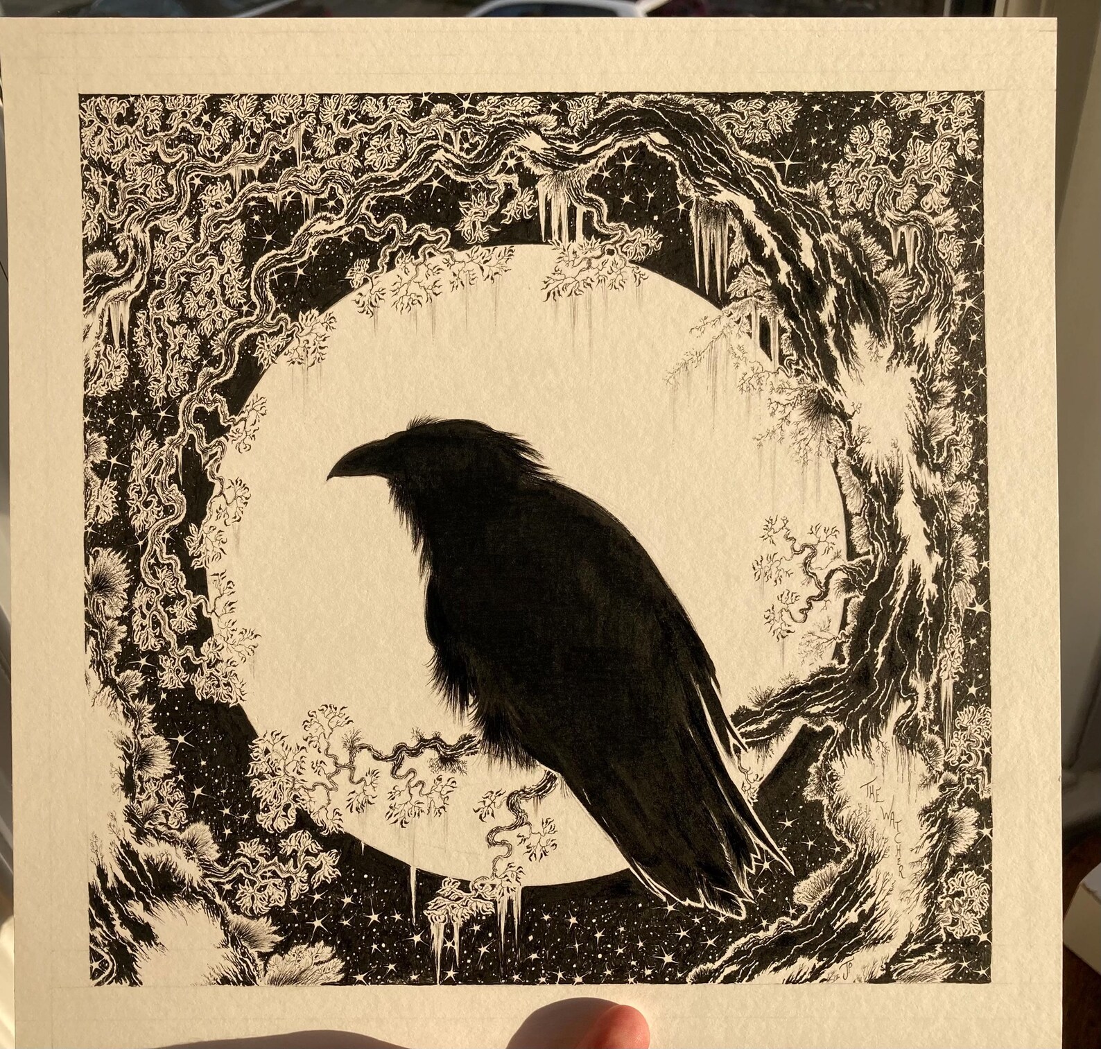 Crow and Moon Silhouette Pen and Ink Drawing Unframed Original Black ...