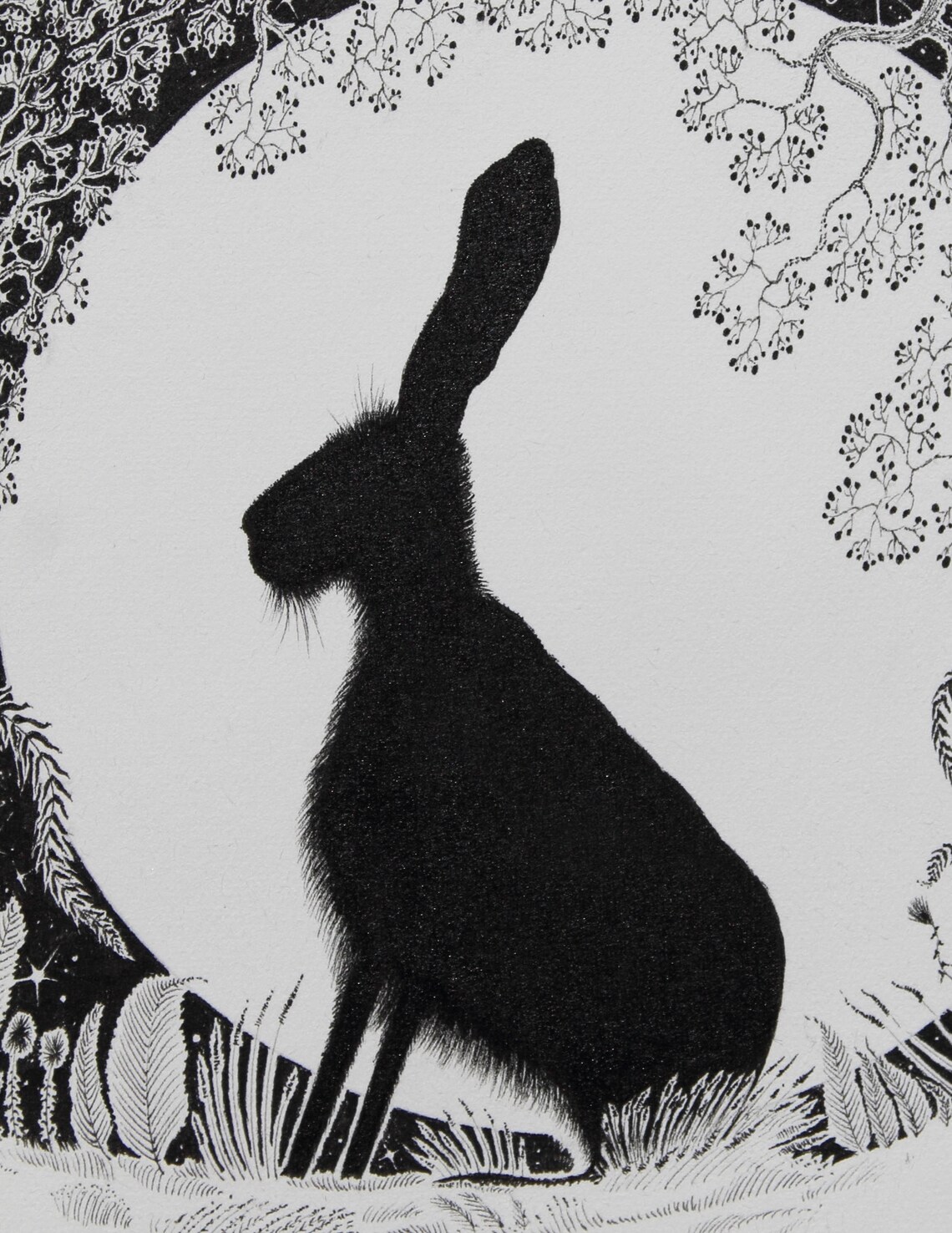 Moongazing Hare and Pen and Ink Hare Drawing and Silhouette of Hare and ...