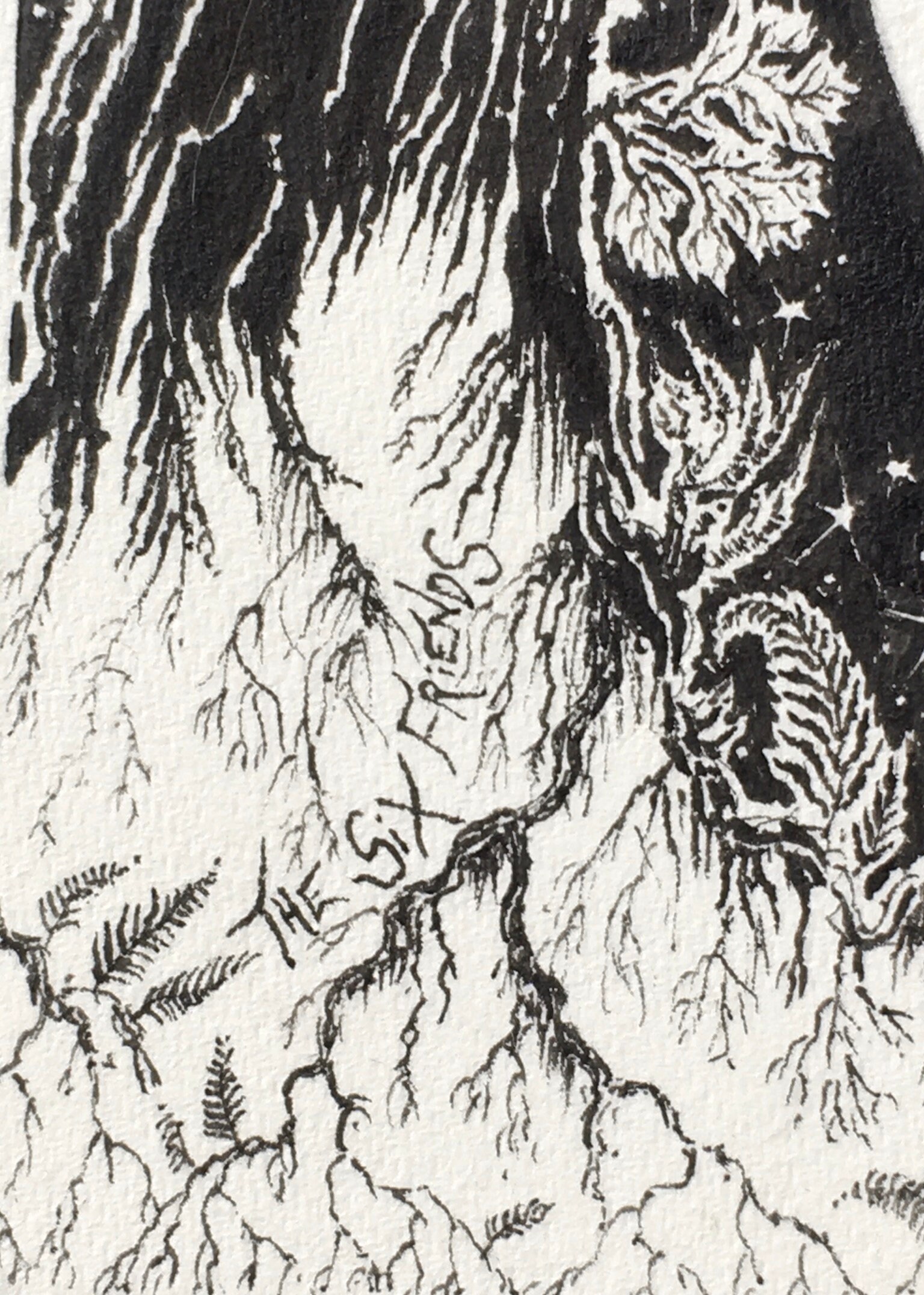 Pen and Ink Illustration and Moon Drawing and Black and White ...