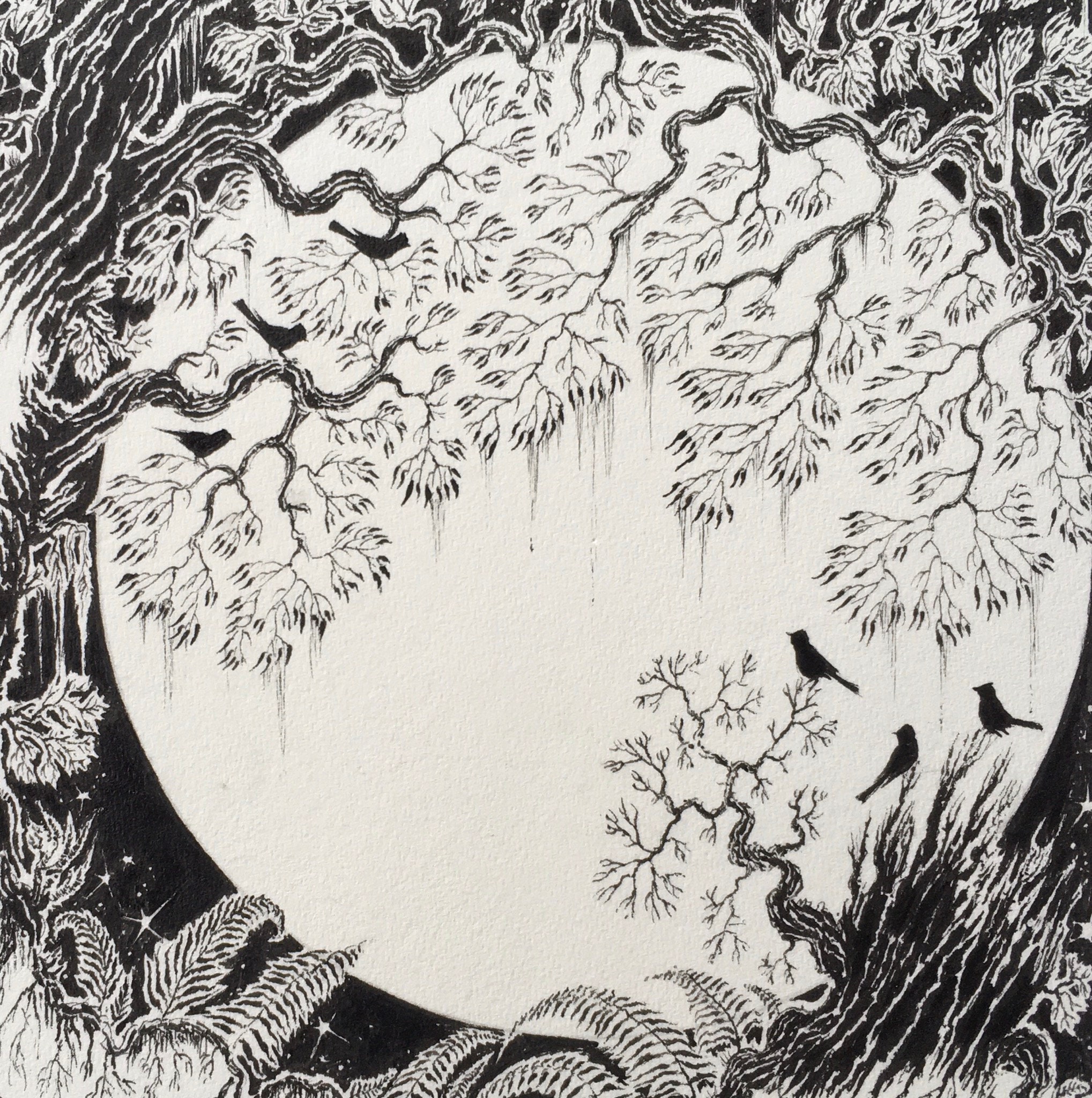 Pen and Ink Illustration and Moon Drawing and Black and White ...