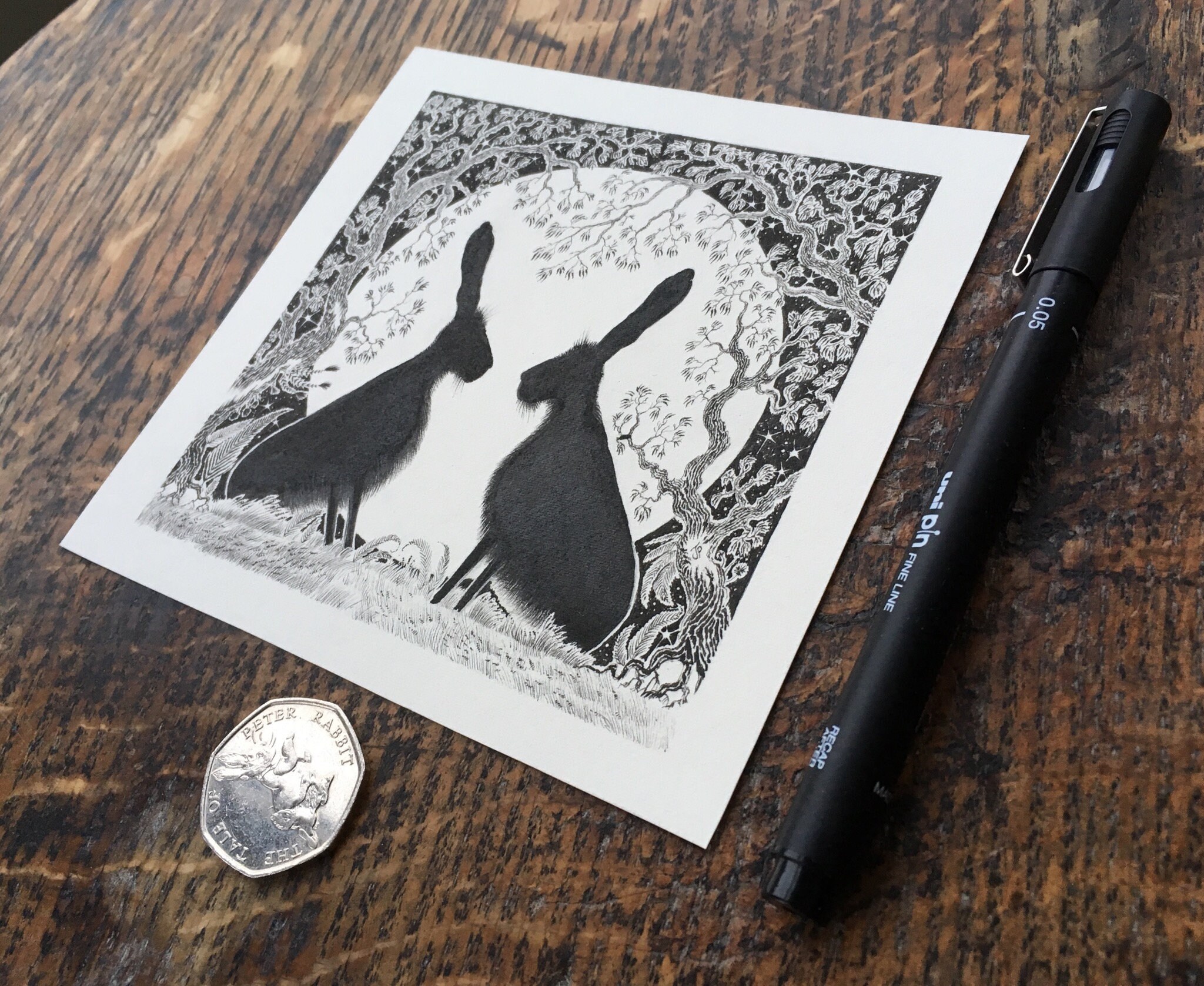 Hare Ink Drawing and Silhouette Black and White and Pen Illustration ...
