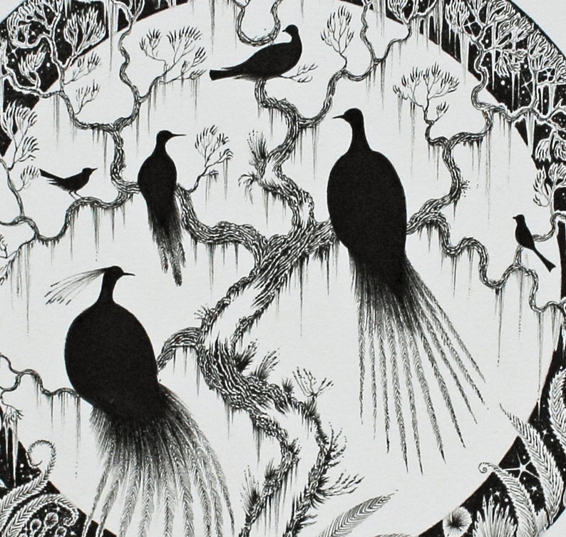 Bird Moon Illustration and Original Bird Drawing and Circle Shaped Ink ...