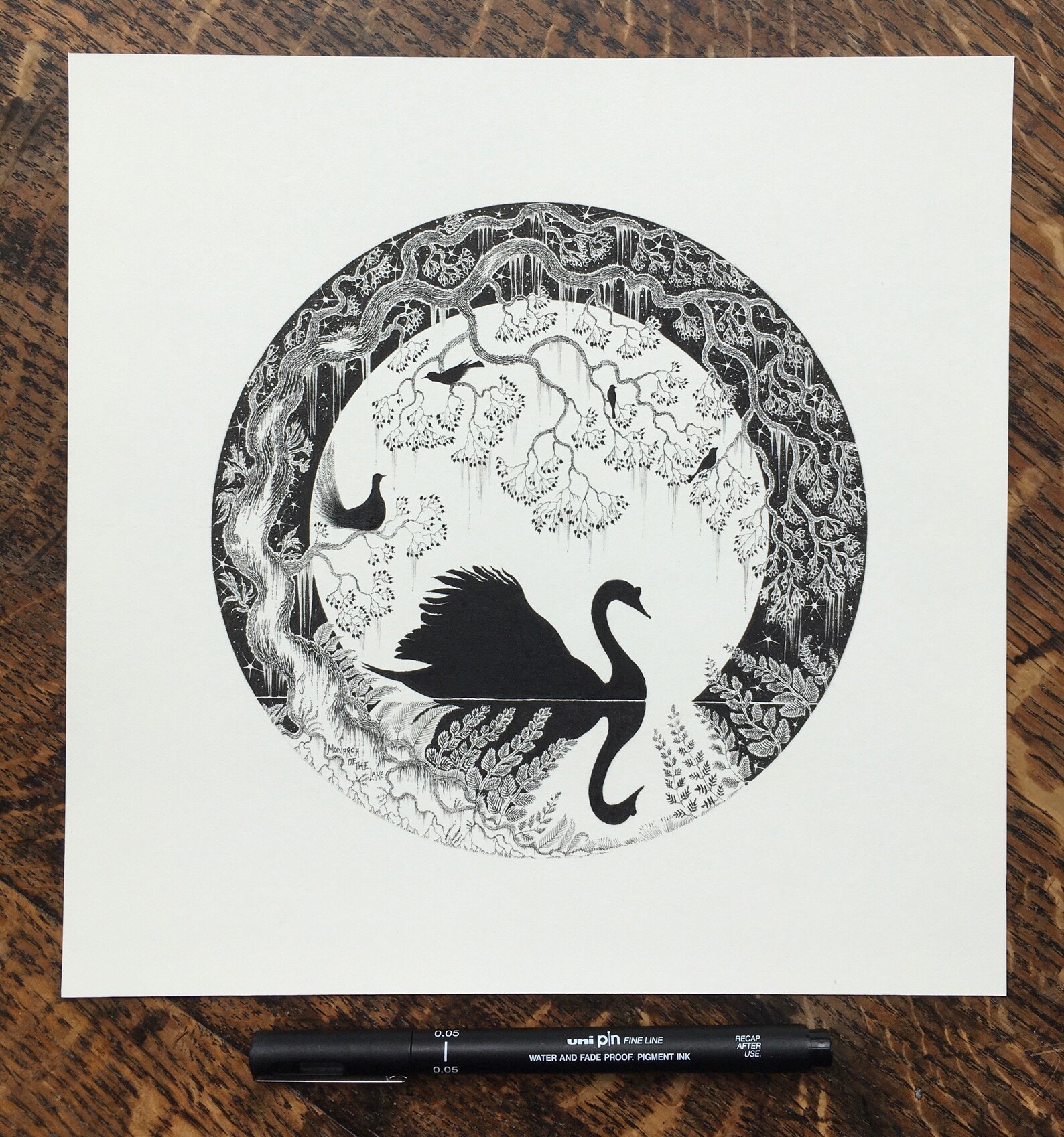 Swan Original Illustration and Bird Wall Art and Pen and Ink Drawing ...