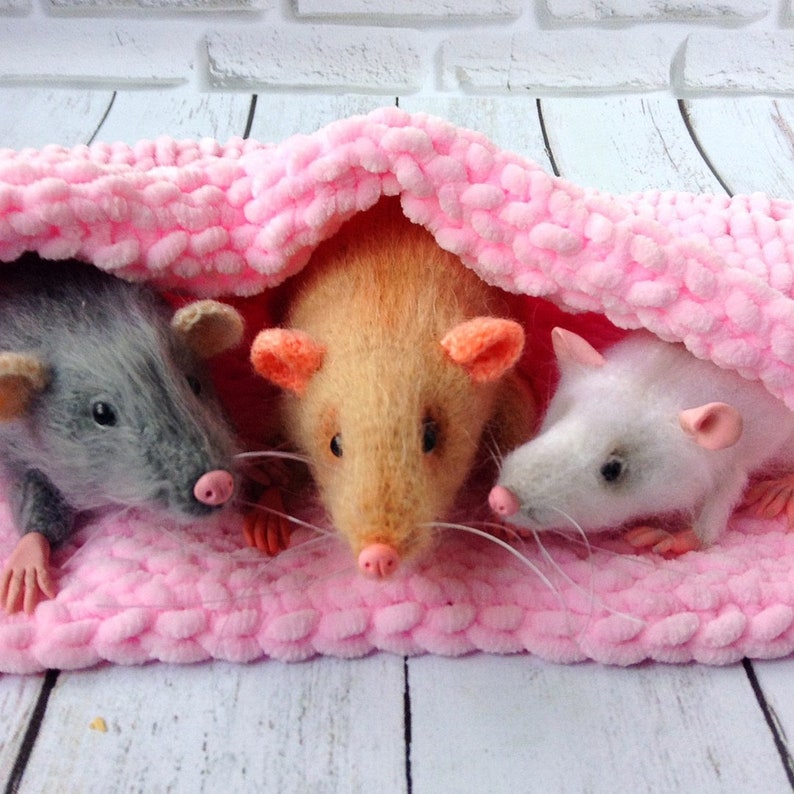 206 Crochet Pattern Cute Little Rat Amigurumi Soft Toy PDF - Etsy Australia