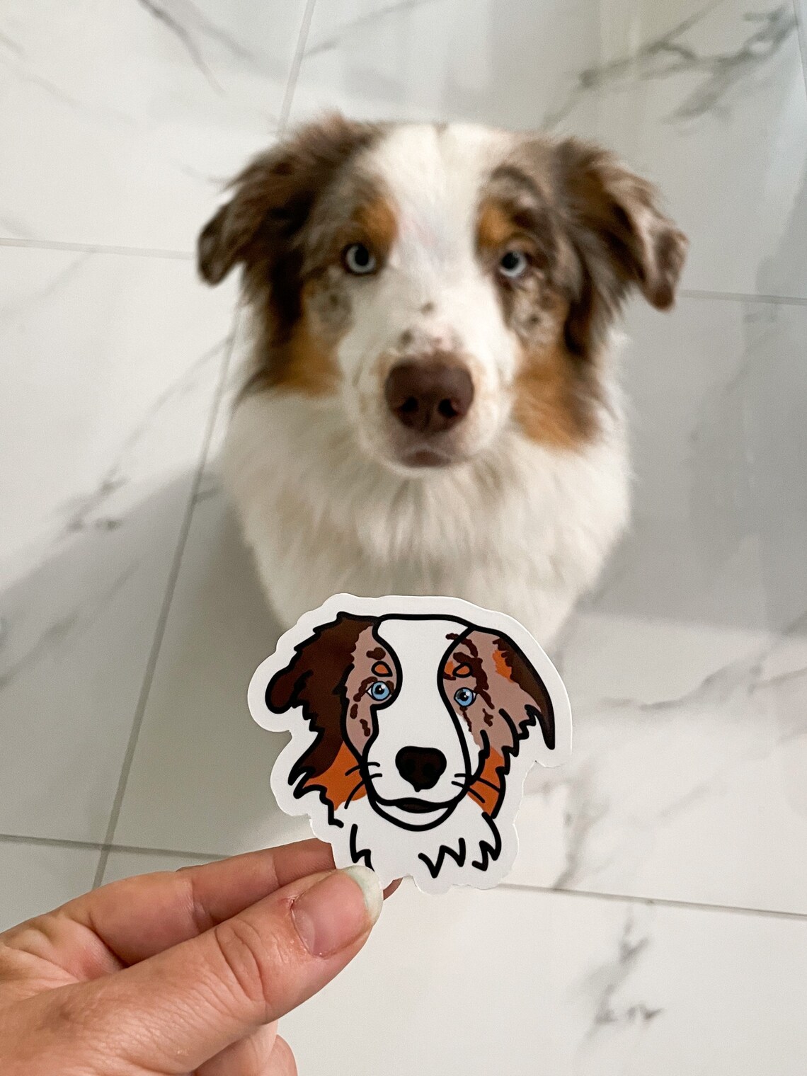 Custom Dog Sticker Hand Drawn Dog Face Sticker Personalized Dog Drawing ...