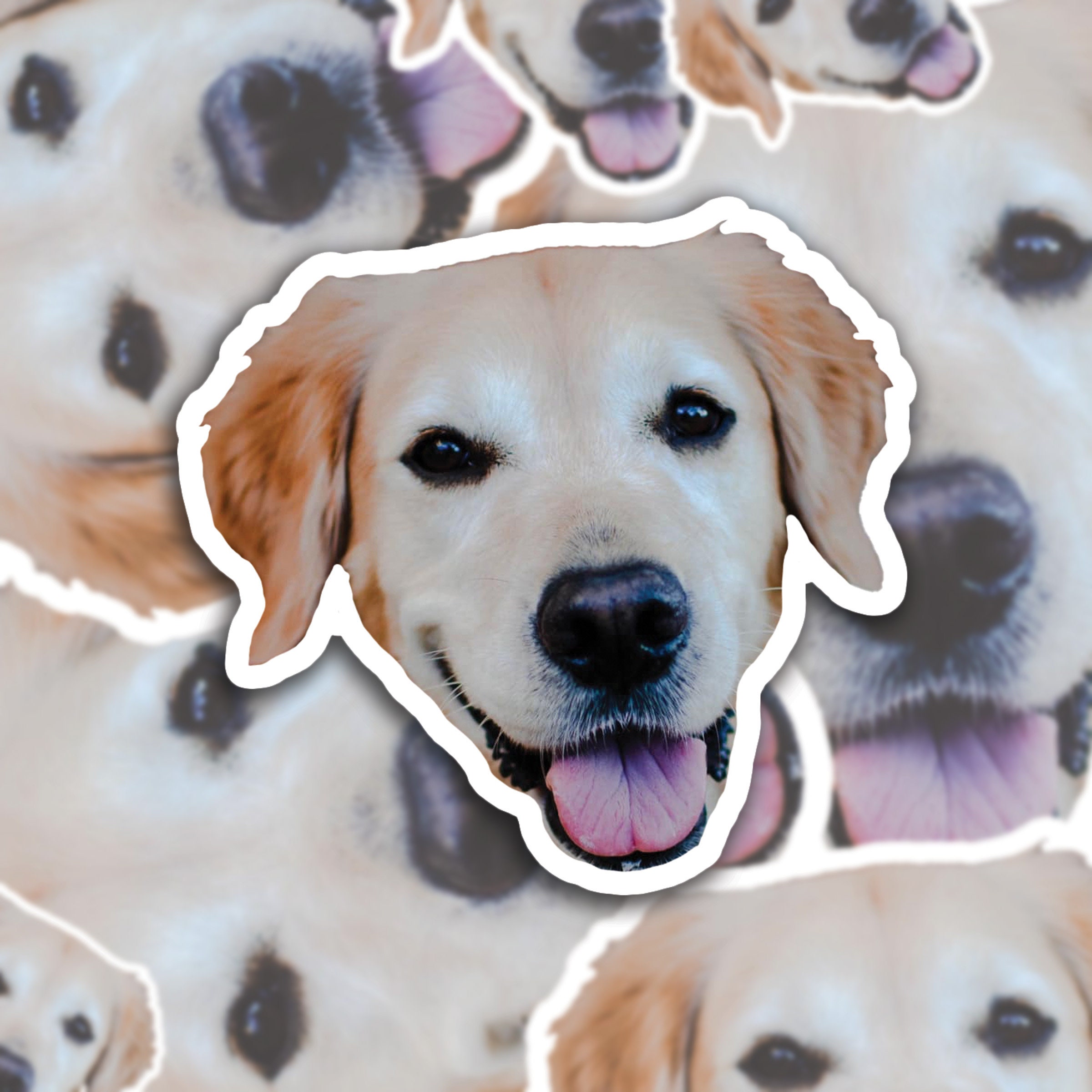 Custom Dog Sticker- Dog Face Sticker, Custom Pet Sticker, Photo Sticker ...