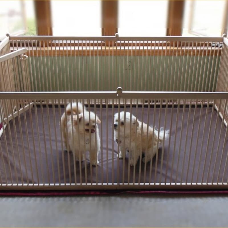 Indoor Dog Pen - Etsy