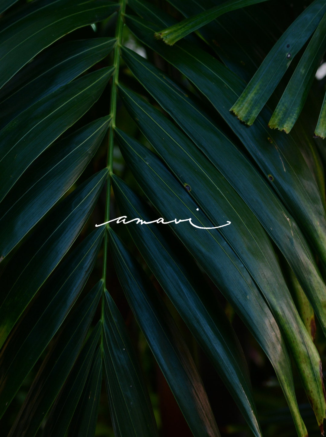 Flowing Cursive Tattoo Design - Beautiful Small Tattoo - Etsy