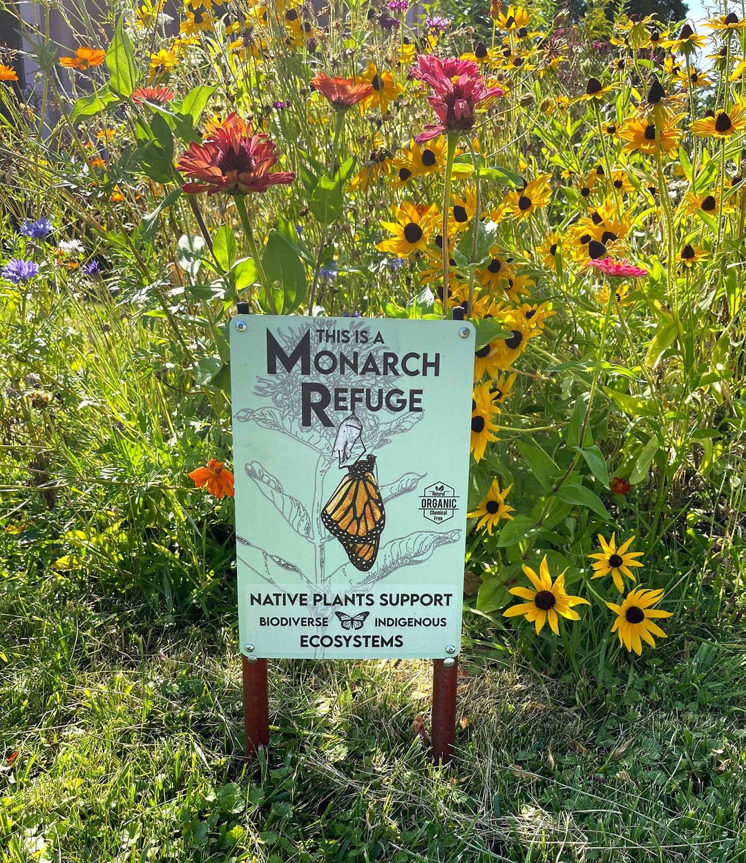Monarch Butterfly Habitat Refuge Yard Sign Made in USA - Etsy