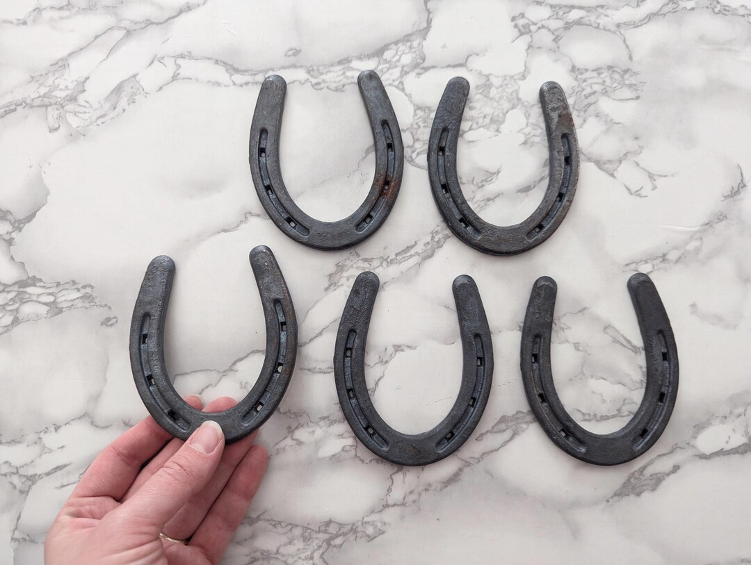 Vintage Horseshoes Lot // Set of Five Lucky Horse Shoes, Small Pony ...