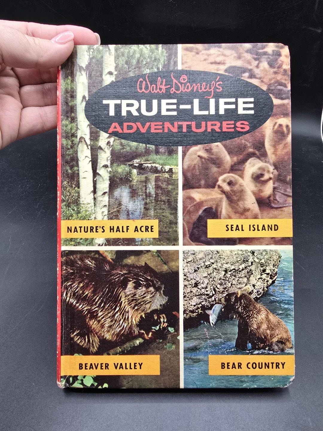 WALT DISNEY'S TRUE- Life Adventures- 1959 Weekly Reader Hardcover - Etsy