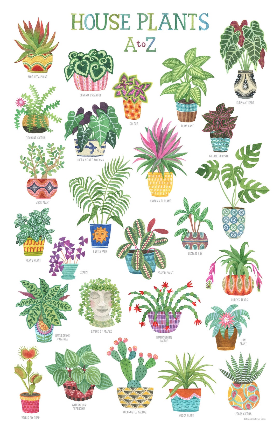 House Plant Print, Botanical Wall Art, Plant Decor, Houseplant ...
