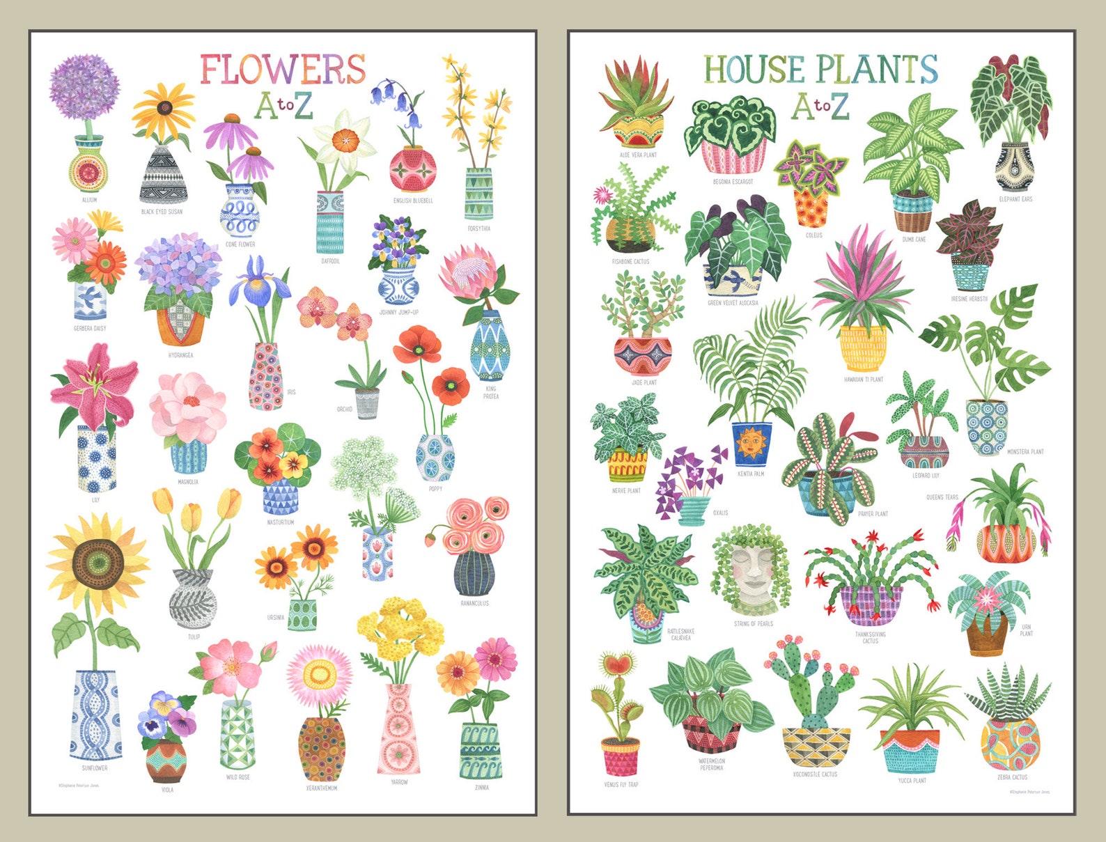 Flower, Floral, Print, Flowers a to Z, Floral Poster, Flower Poster ...
