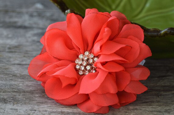 Dark Coral Colored Flowers