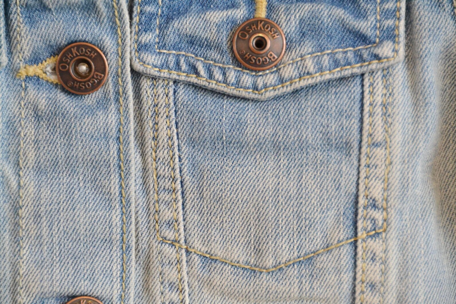 Pipsqueak Pufferfish Denim Jacket, Embroidered Pufferfish, Denim Jacket ...