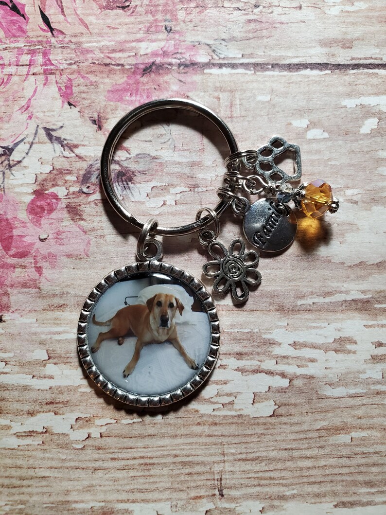 Photo Pet Dog/cat Key Chain With Charms - Etsy