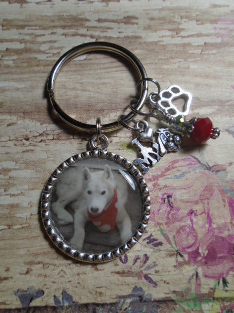 Photo Pet Dog/cat Key Chain With Charms - Etsy